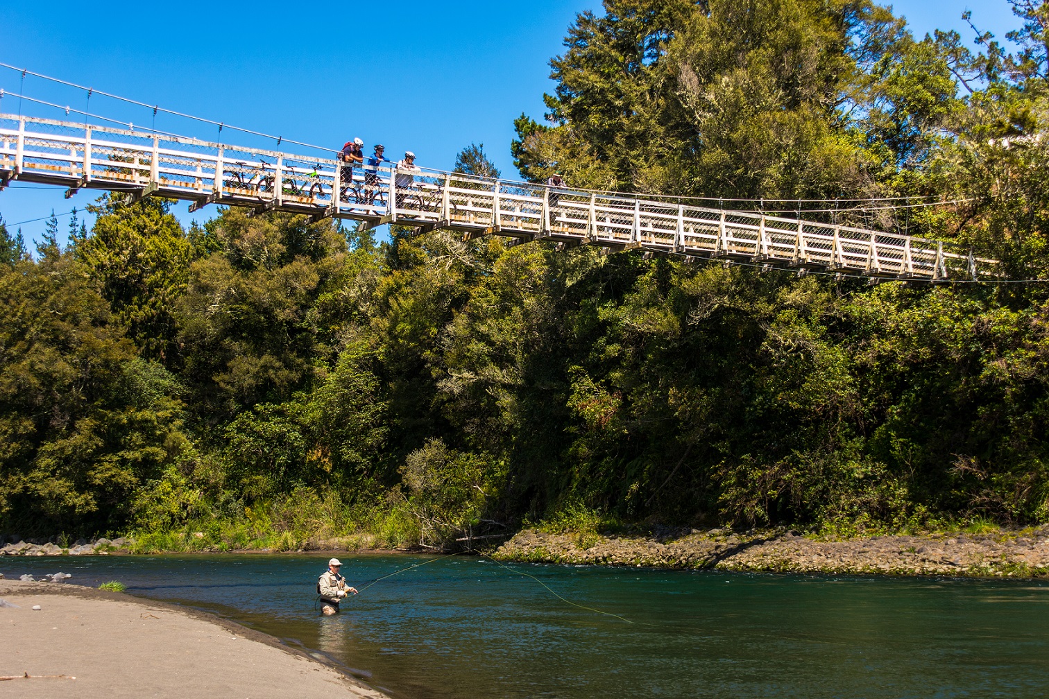 The Insider's Foody Guide To Turangi | Taupo Official Website