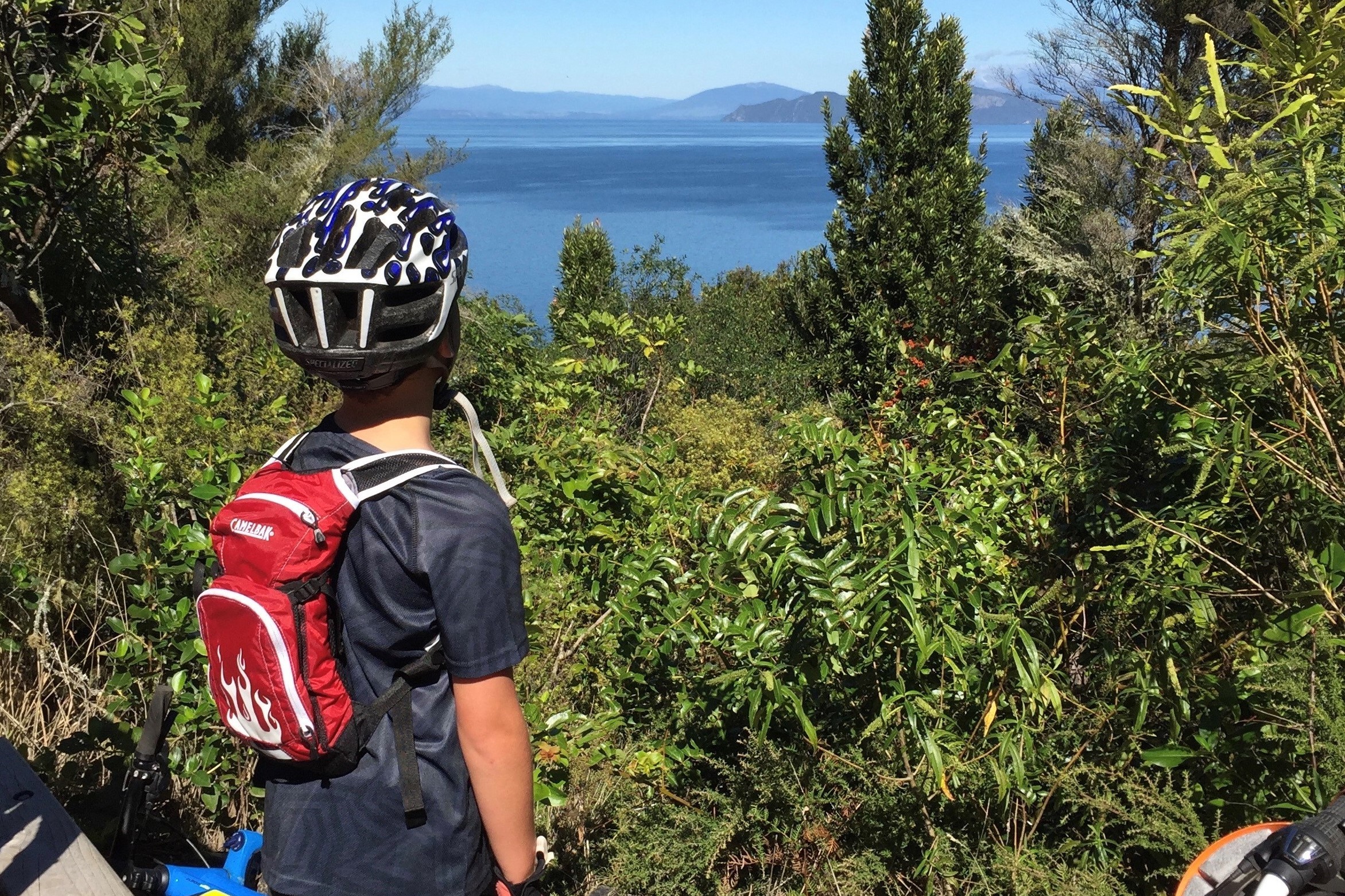 Waihaha Section - Great Lake Trails | Taupo Official Website