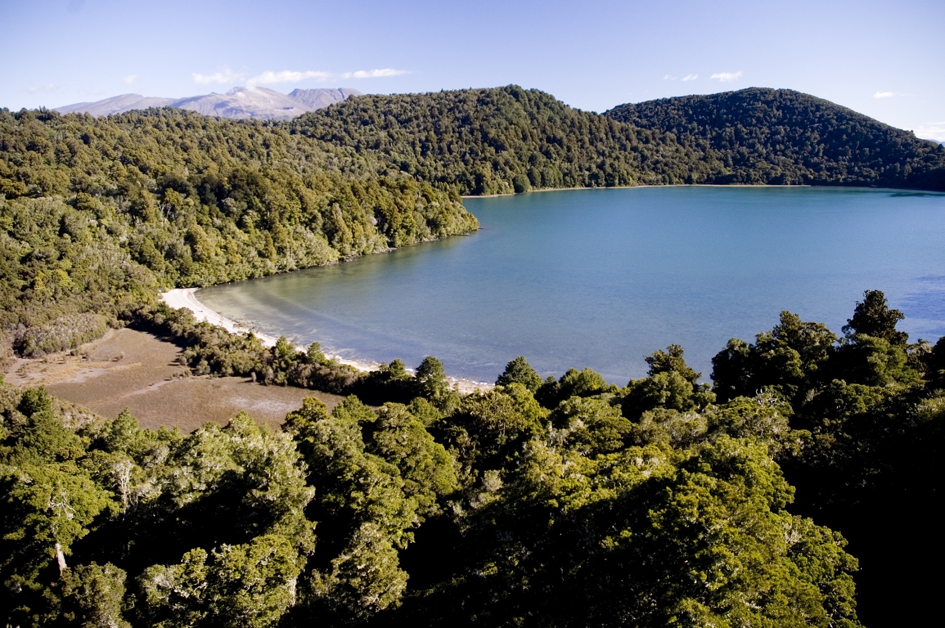 Things to do in Turangi, New Zealand | Turangi Activities & Attractions ...