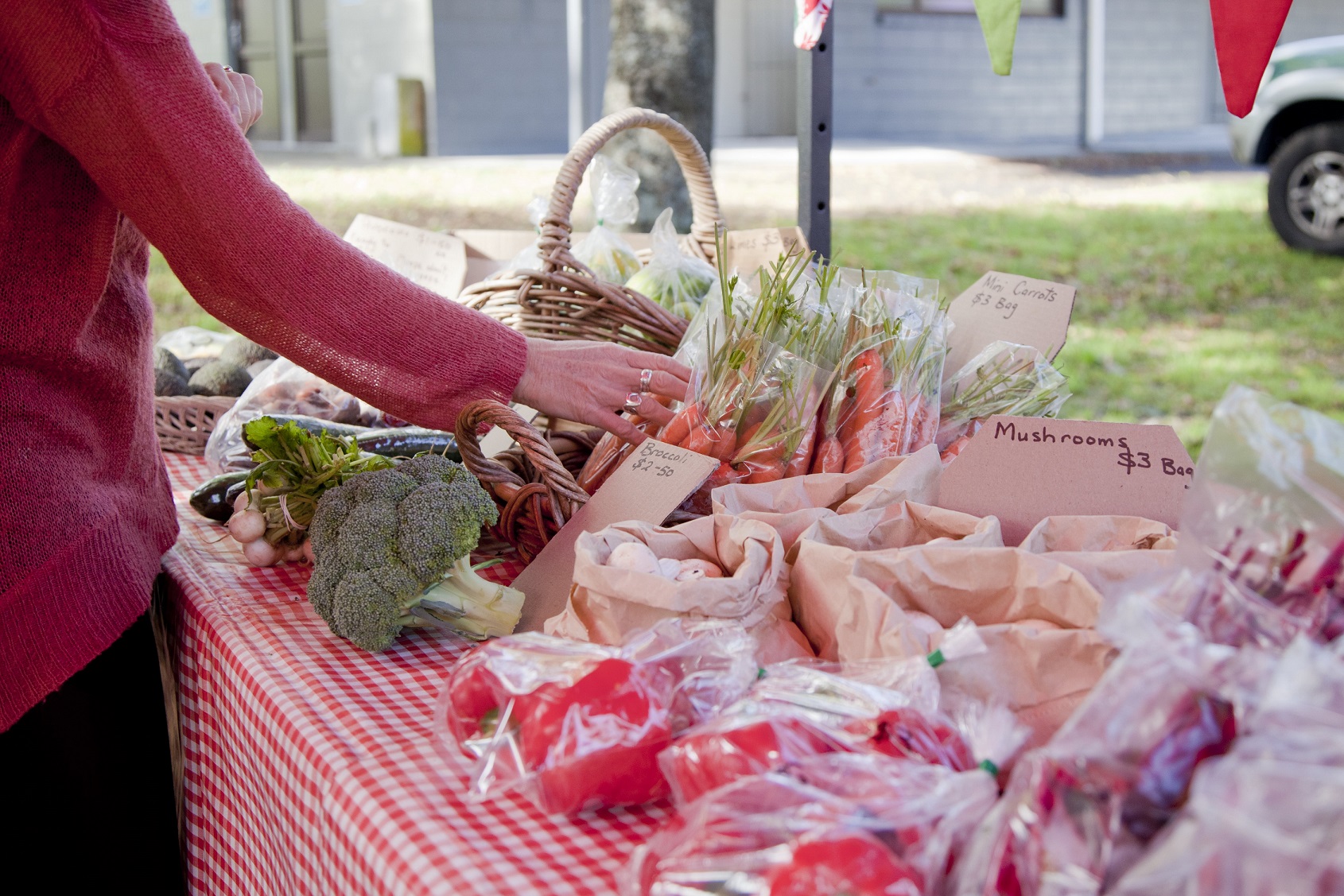 Festival & Lifestyle Events | Taupo Official Website