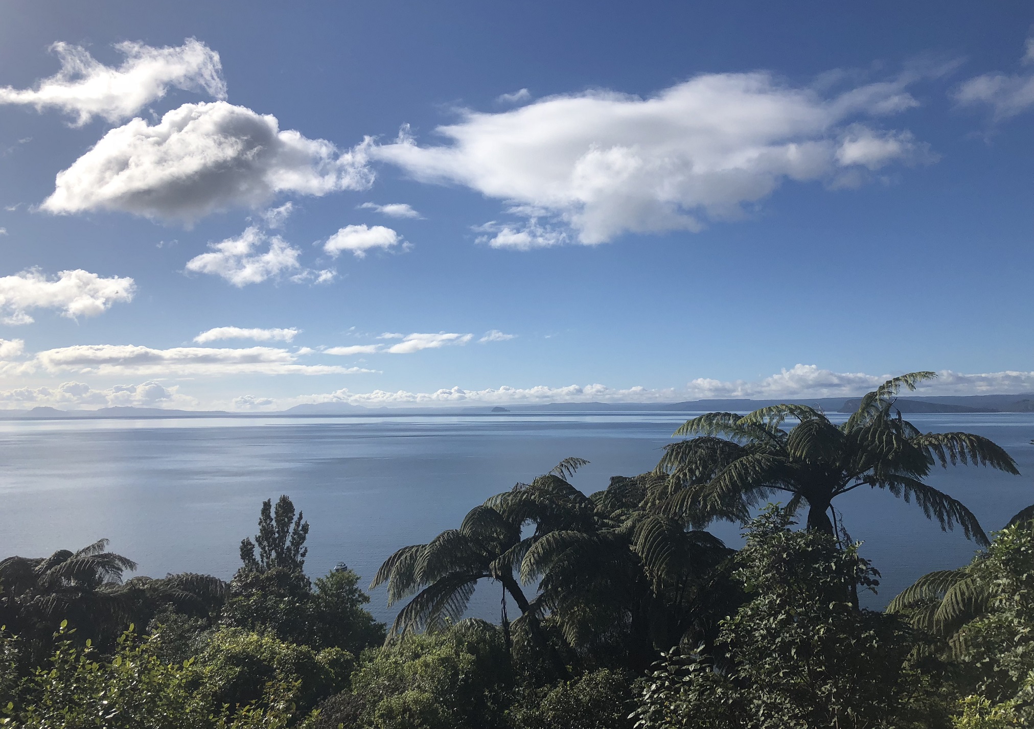 Omori & Pukawa, New Zealand | Taupo Official Website