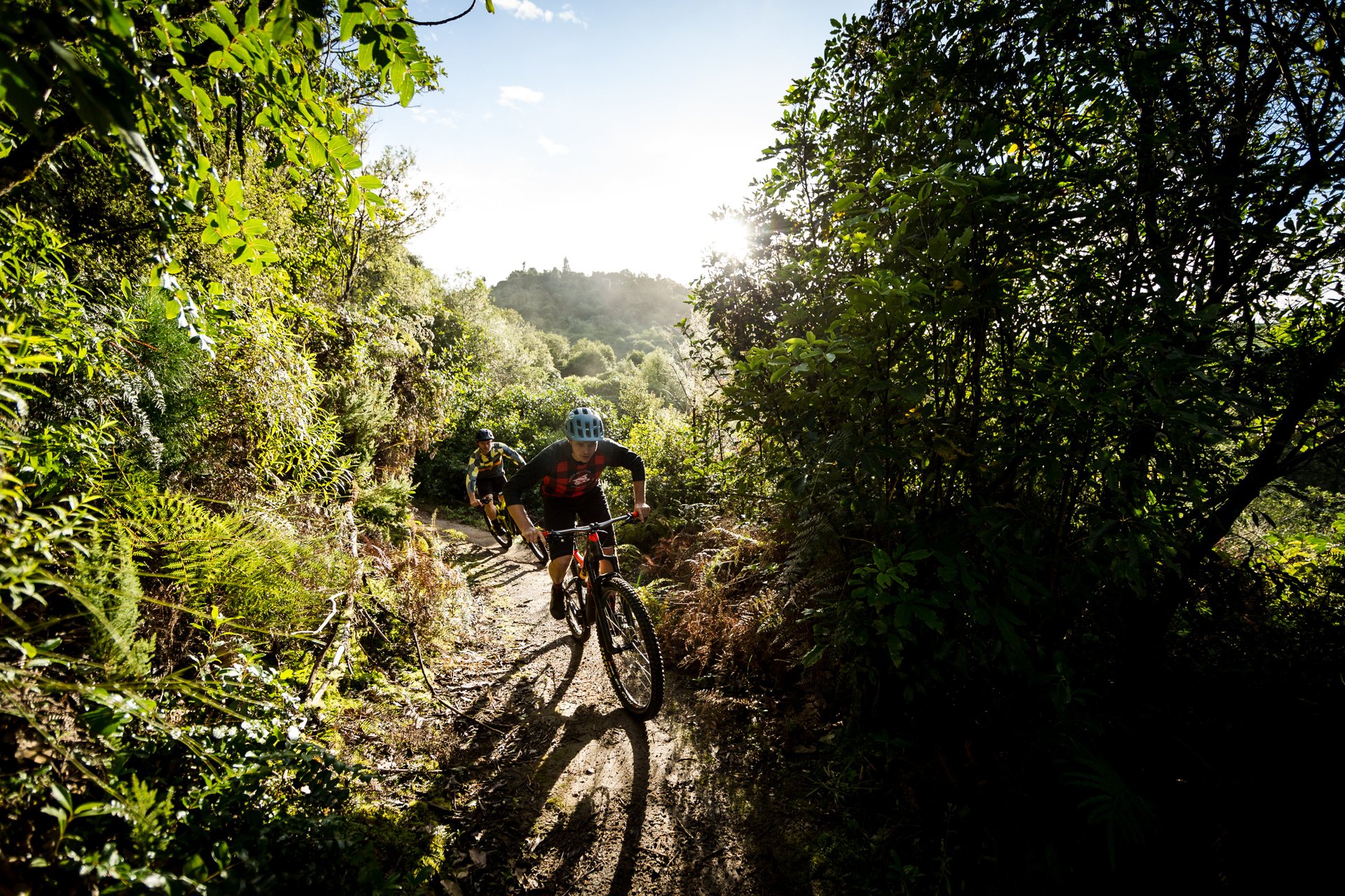 W2K Trail - Great Lake Trails | Taupo Official Website