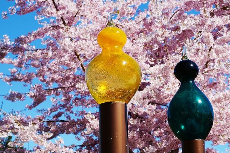 Lava Glass Studio, Gallery, and Sculpture Garden | Love Taupō | Taupo ...