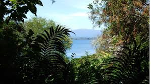 Pukawa Bay Walks | Walks in Southern Lake Taupo | Taupo Official Website
