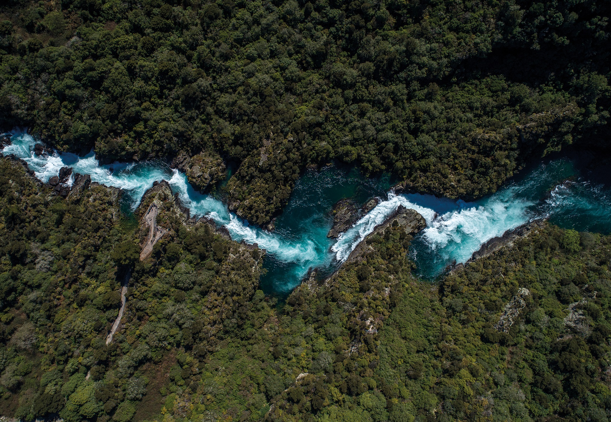 Waikato River | Taupo Official Website