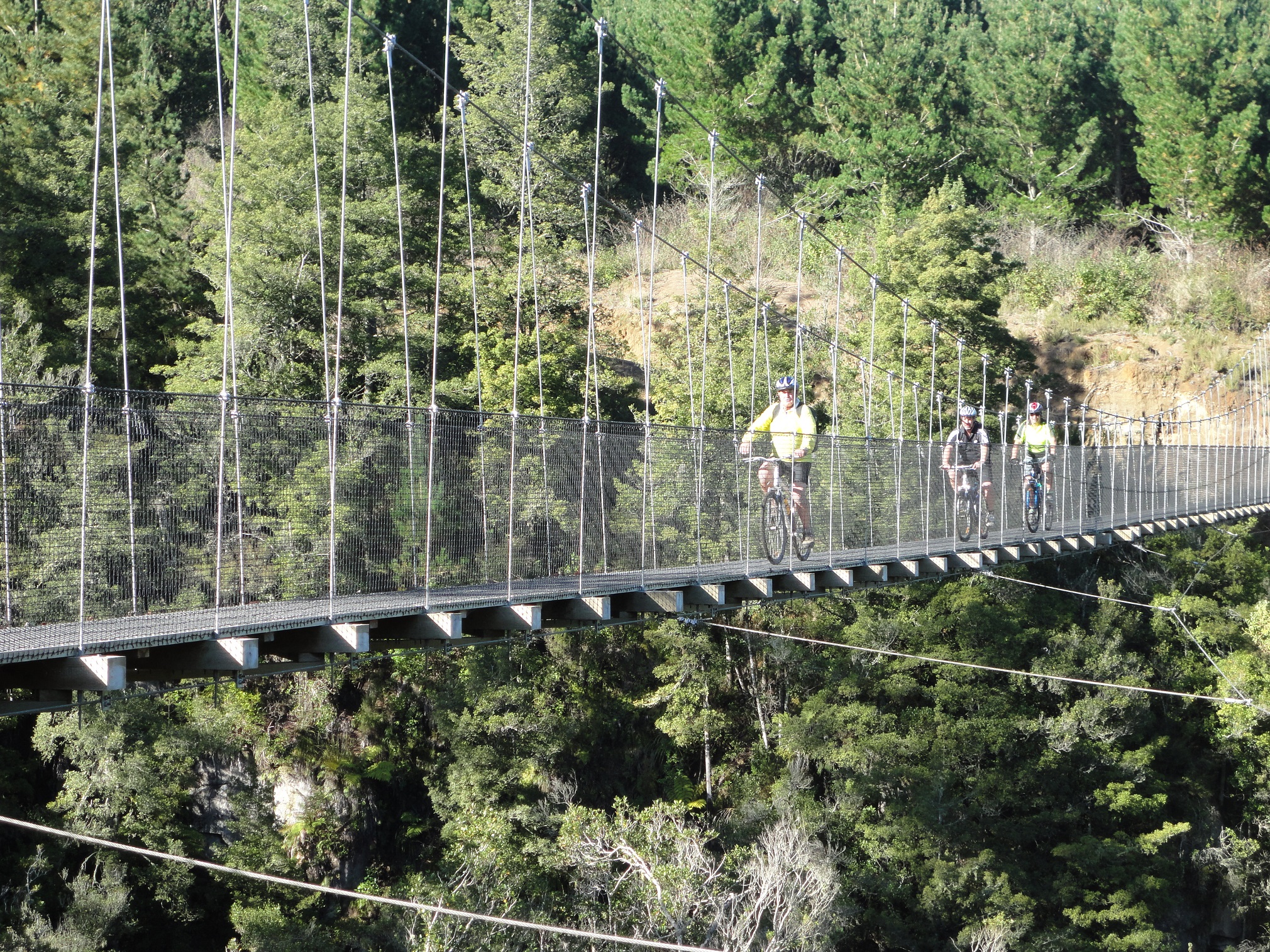 The Whakamaru Trail | Taupo Official Website