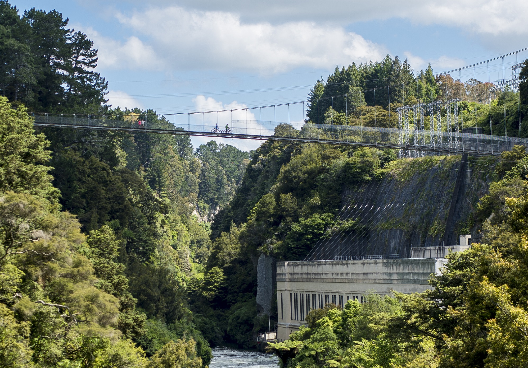 The Waipapa Trail | Taupo Official Website