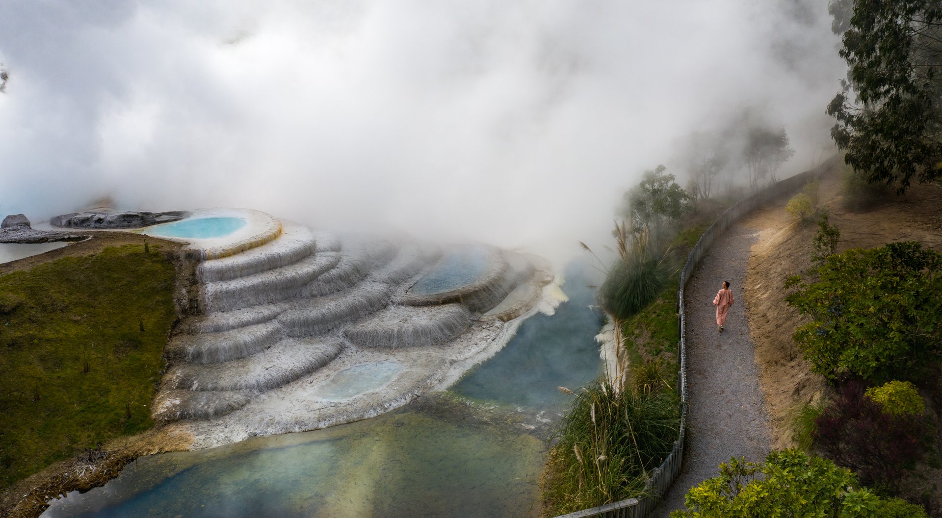 Discover Pureora Forest Park for an exceptional cycling and mountain ...