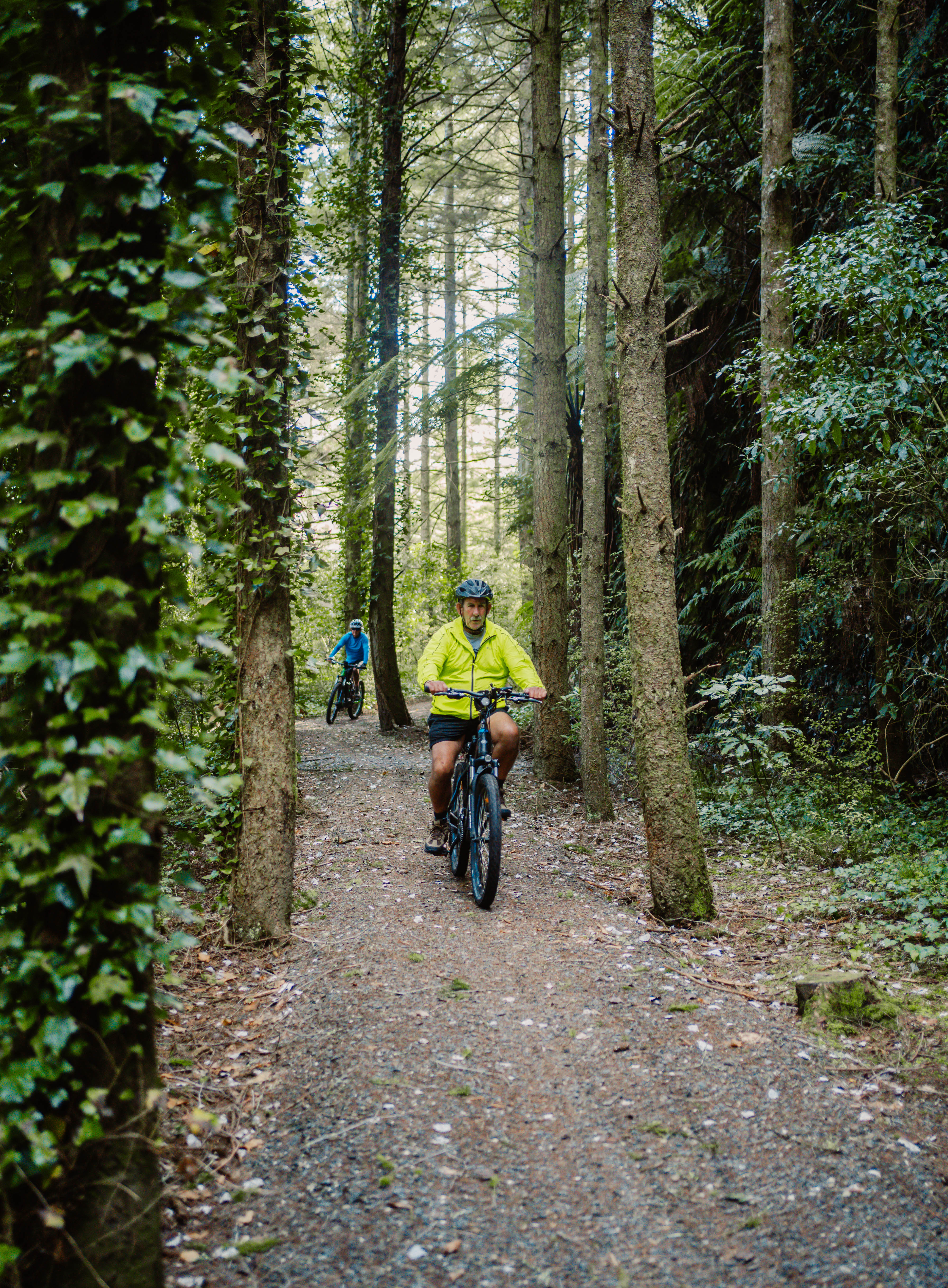 The Whakamaru Trail | Taupo Official Website