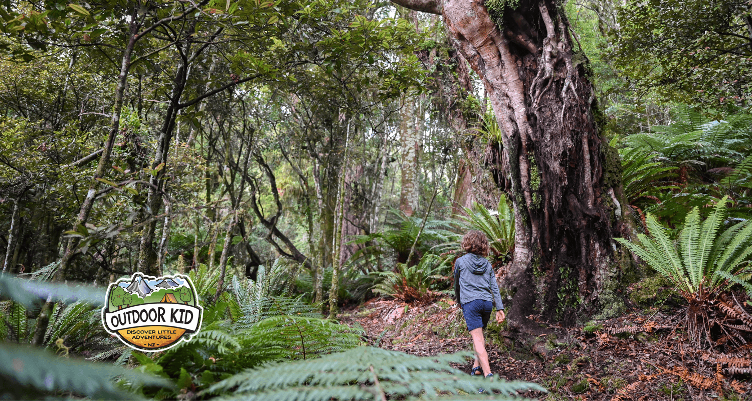 Top 10 Must-Do's In Turangi | Taupo Official Website