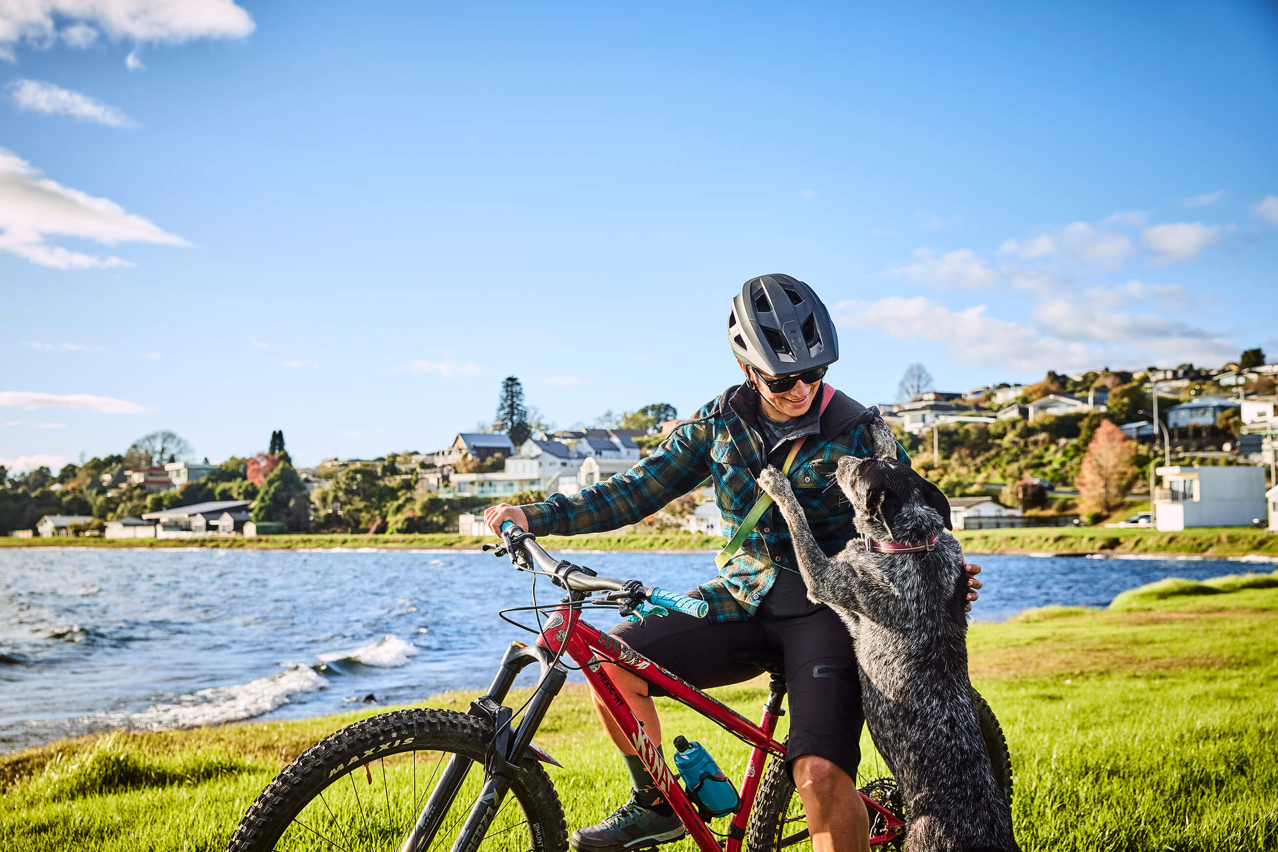 Coya’s top tails in dog friendly Taupō | Taupo Official Website