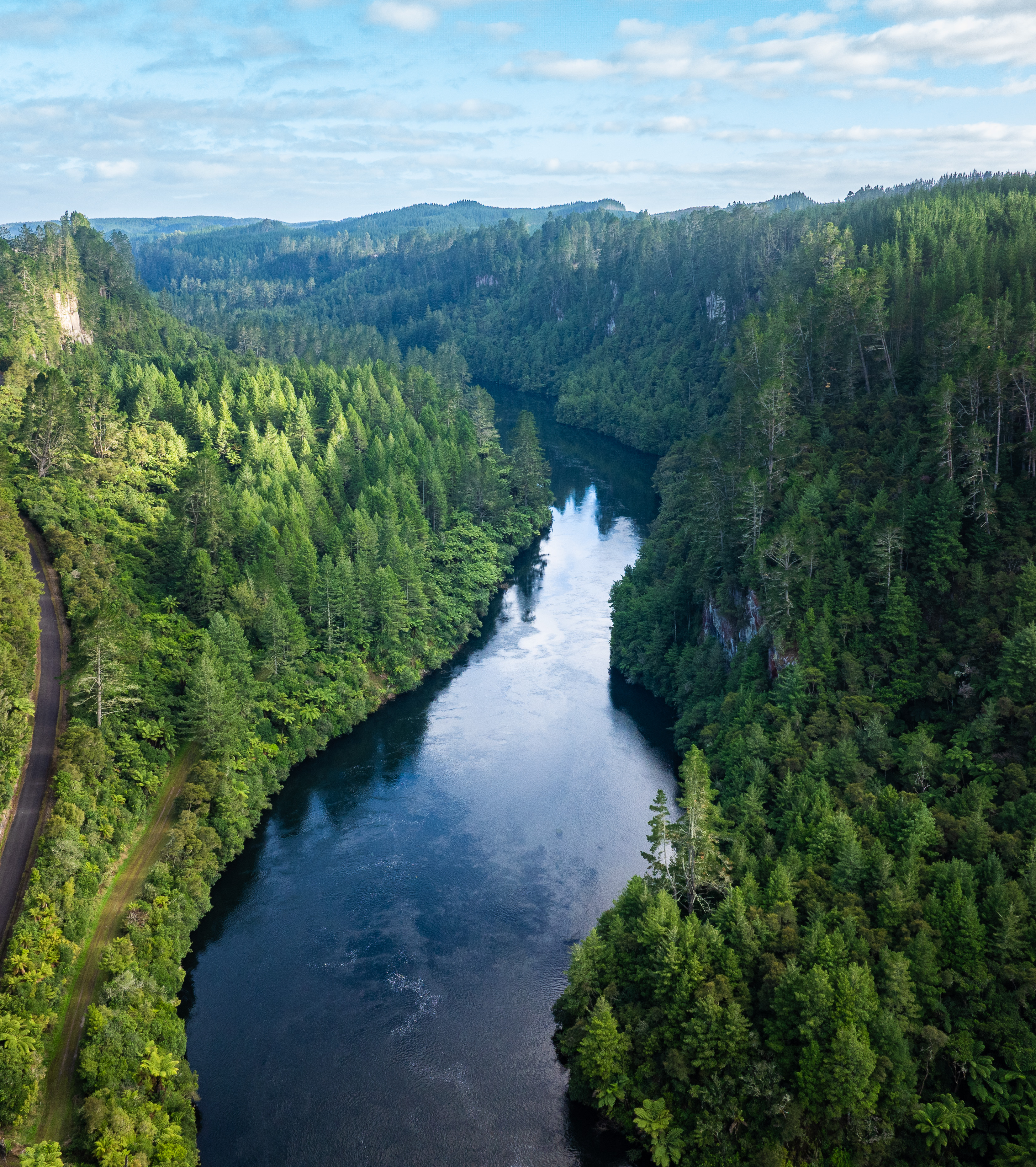 Discover Pureora Forest Park for an exceptional cycling and mountain ...