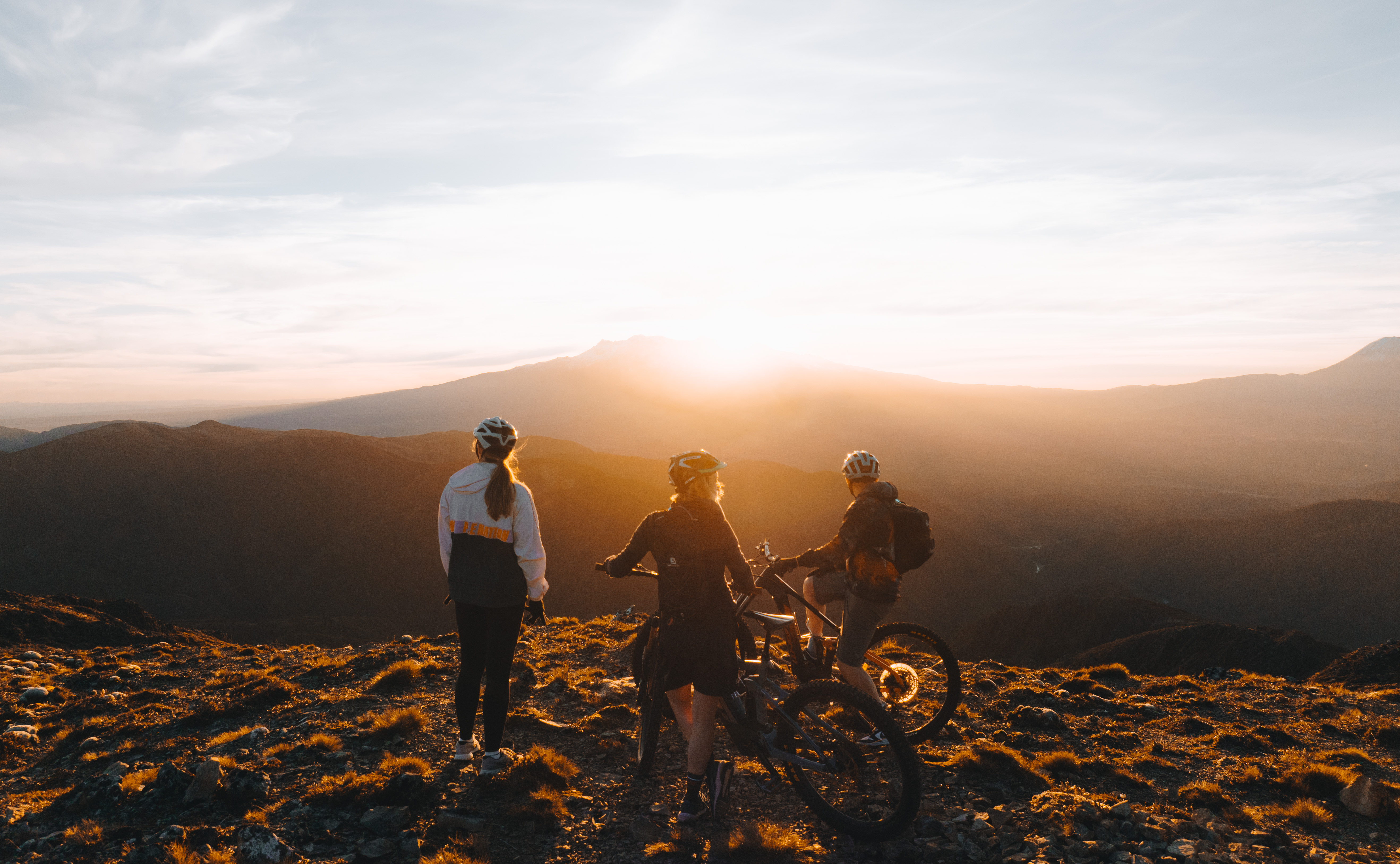 Discover Pureora Forest Park for an exceptional cycling and mountain ...