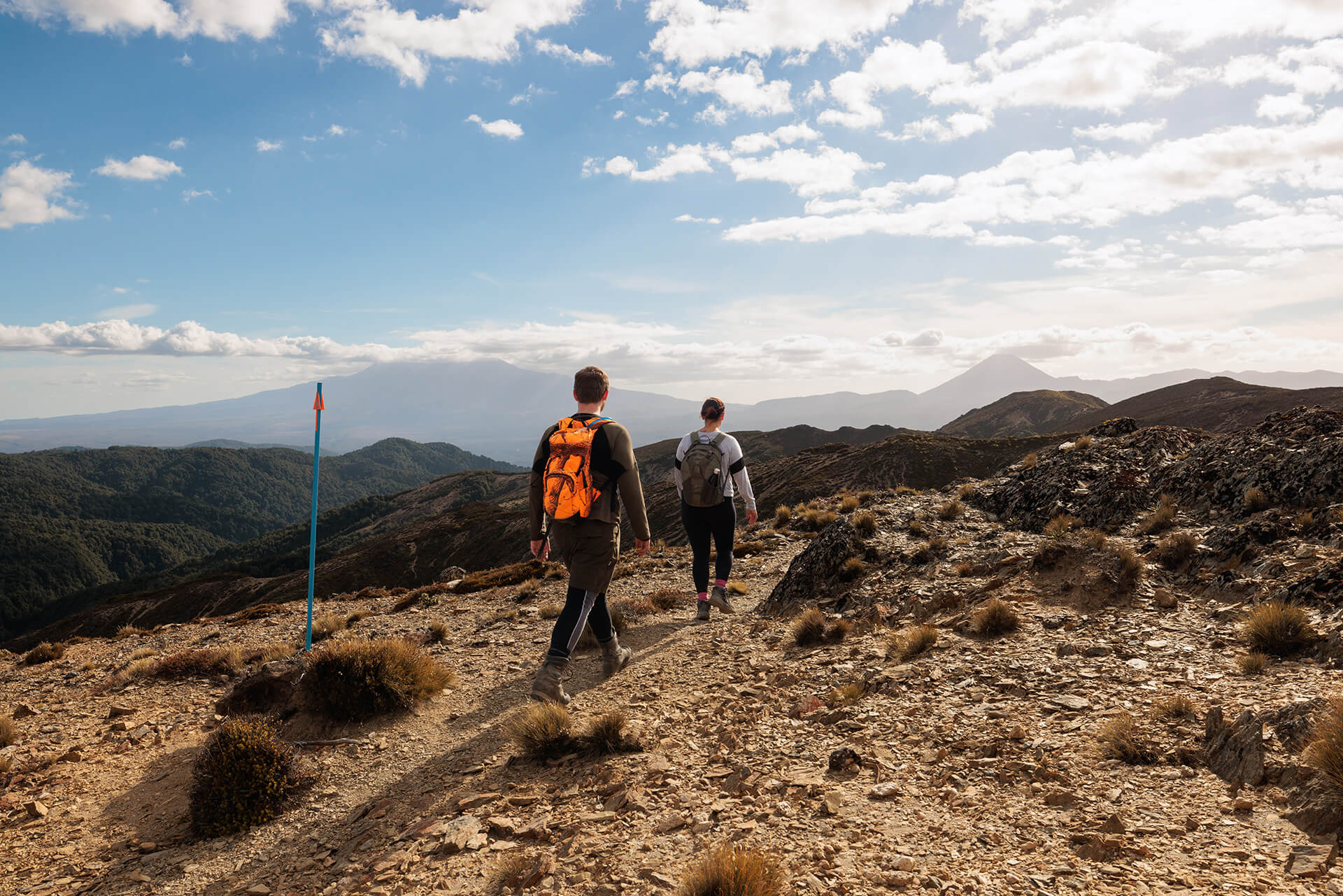 Kaimanawa Forest Park | Taupo Official Website