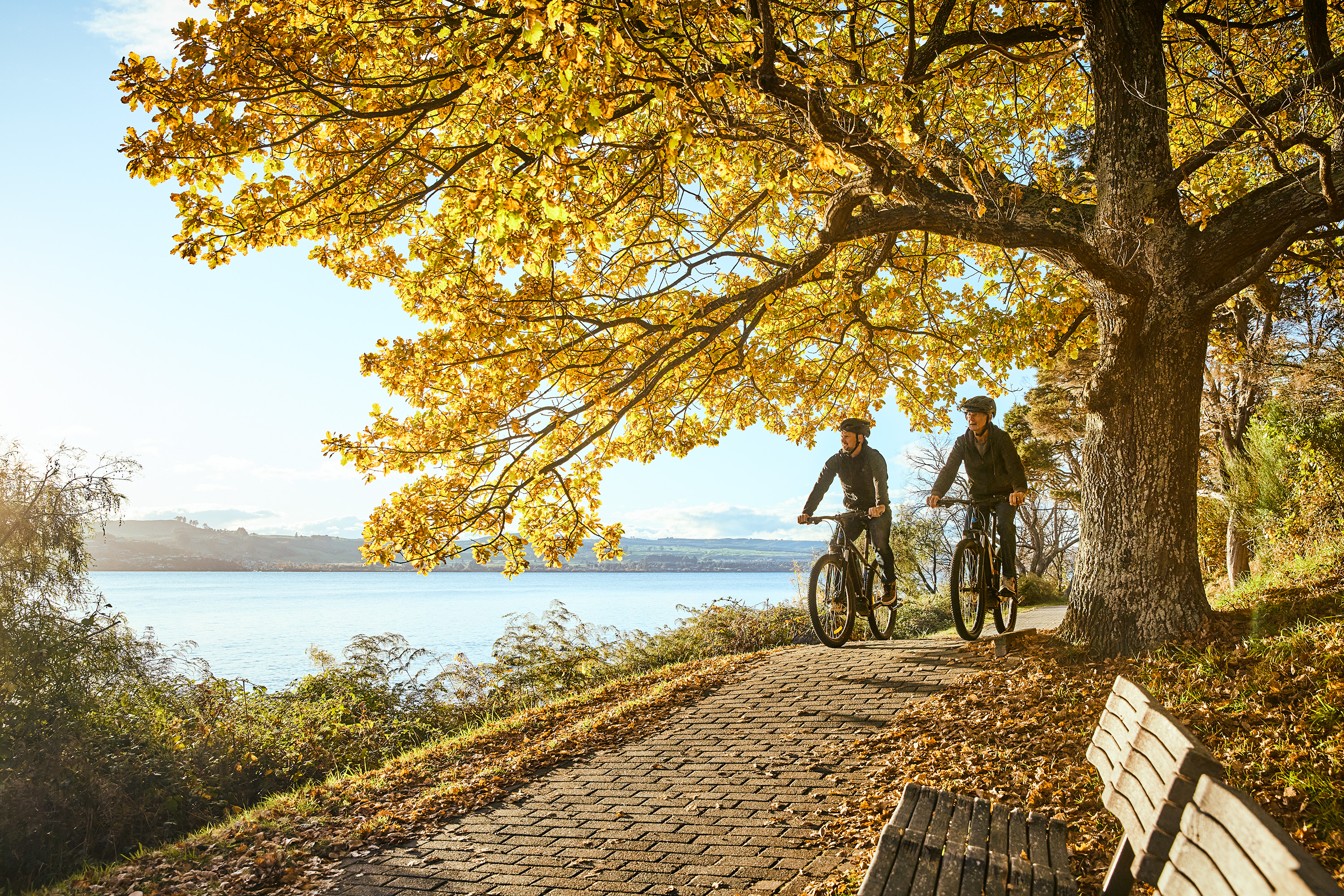 Discover Pureora Forest Park for an exceptional cycling and mountain ...