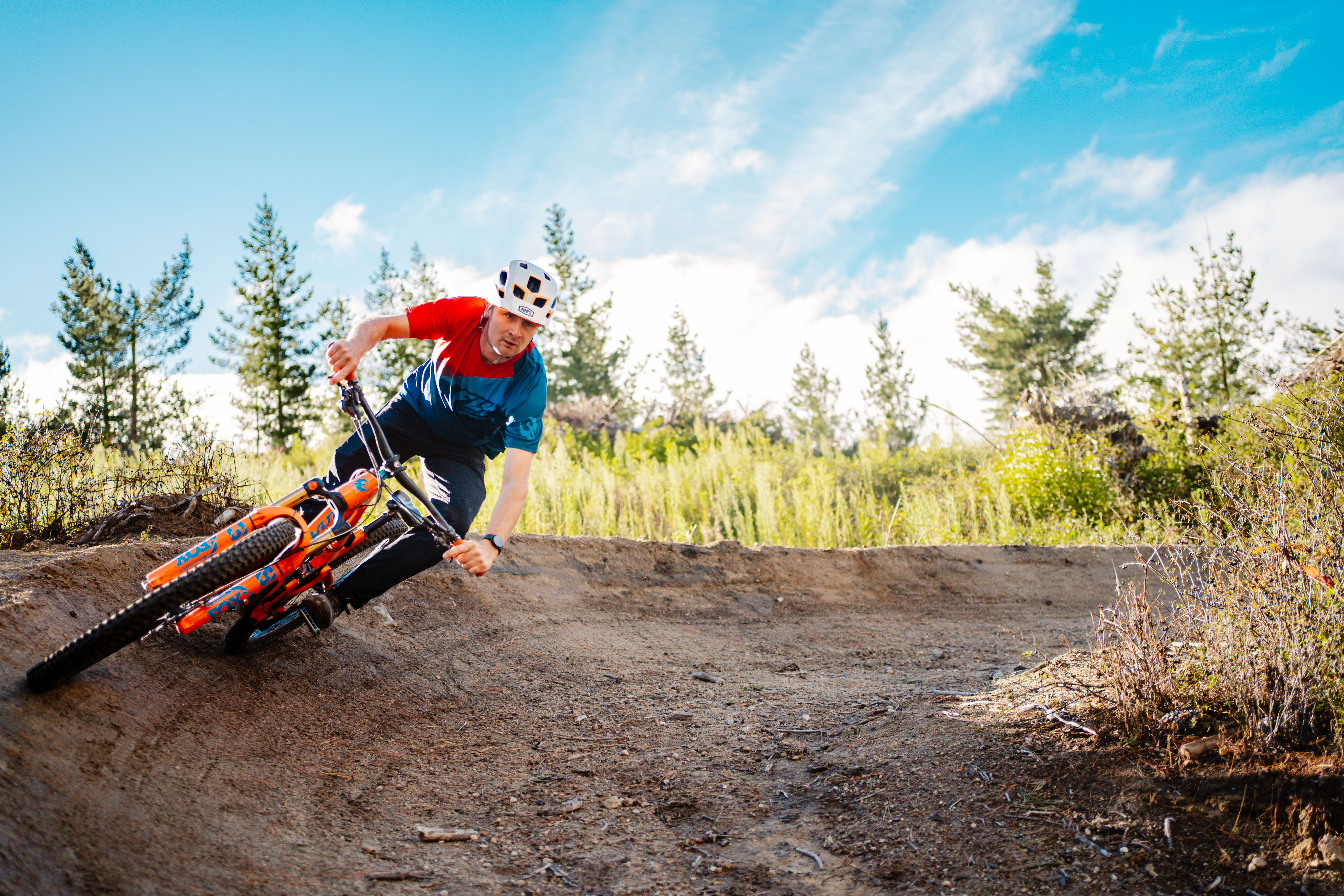 Discover Pureora Forest Park for an exceptional cycling and mountain ...